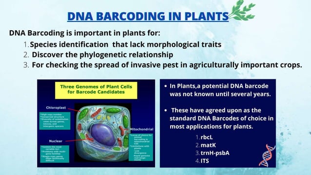 DNA Barcoding | PDF