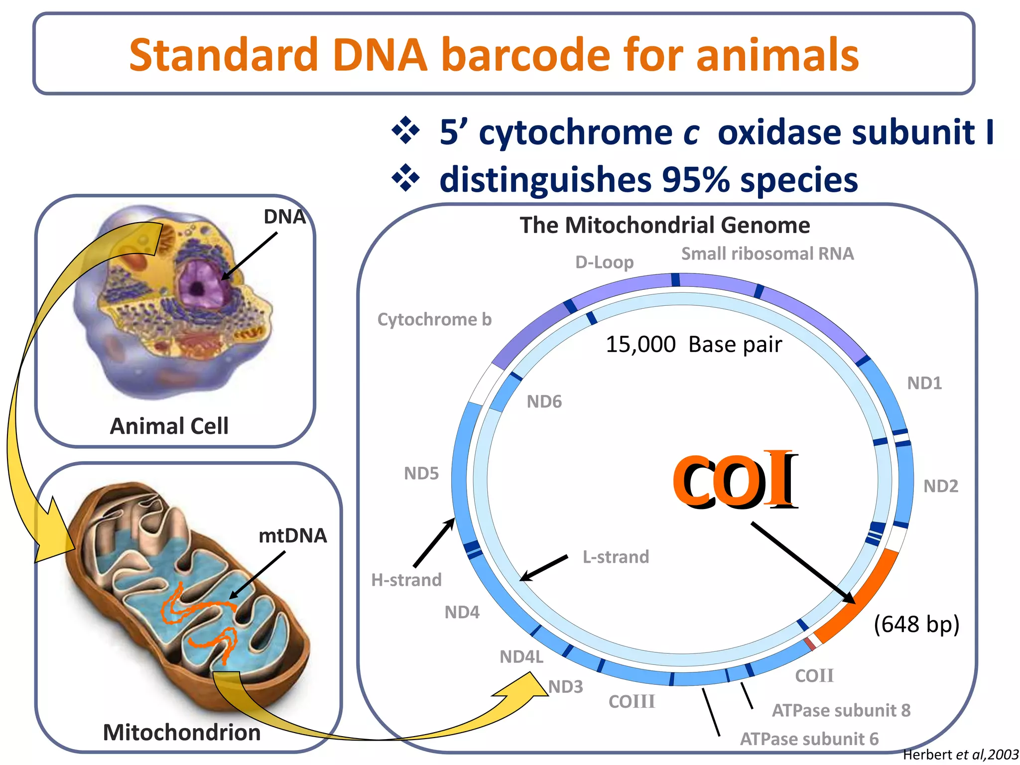 Dna barcoding | PPTX