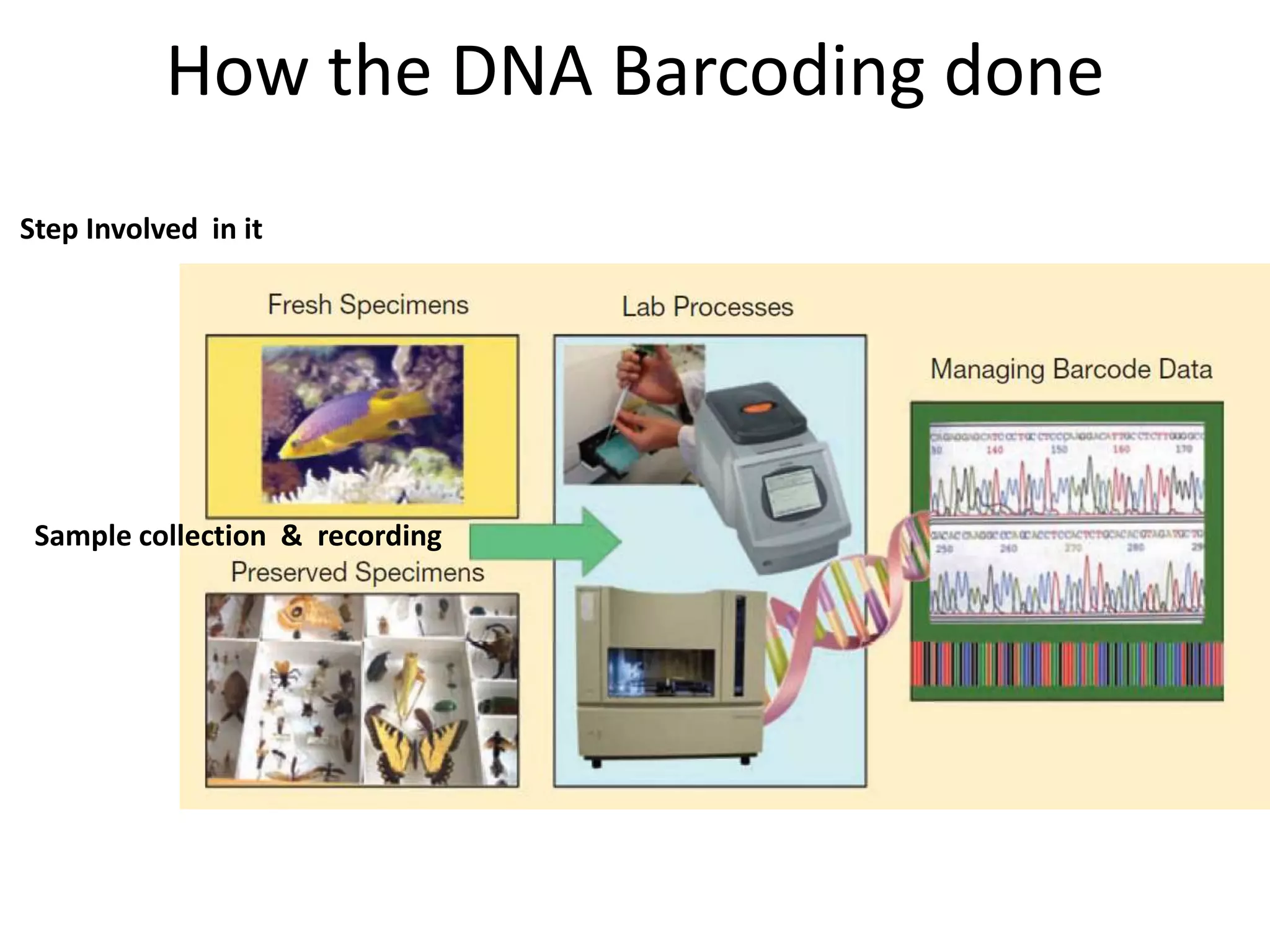 Dna barcoding | PPTX