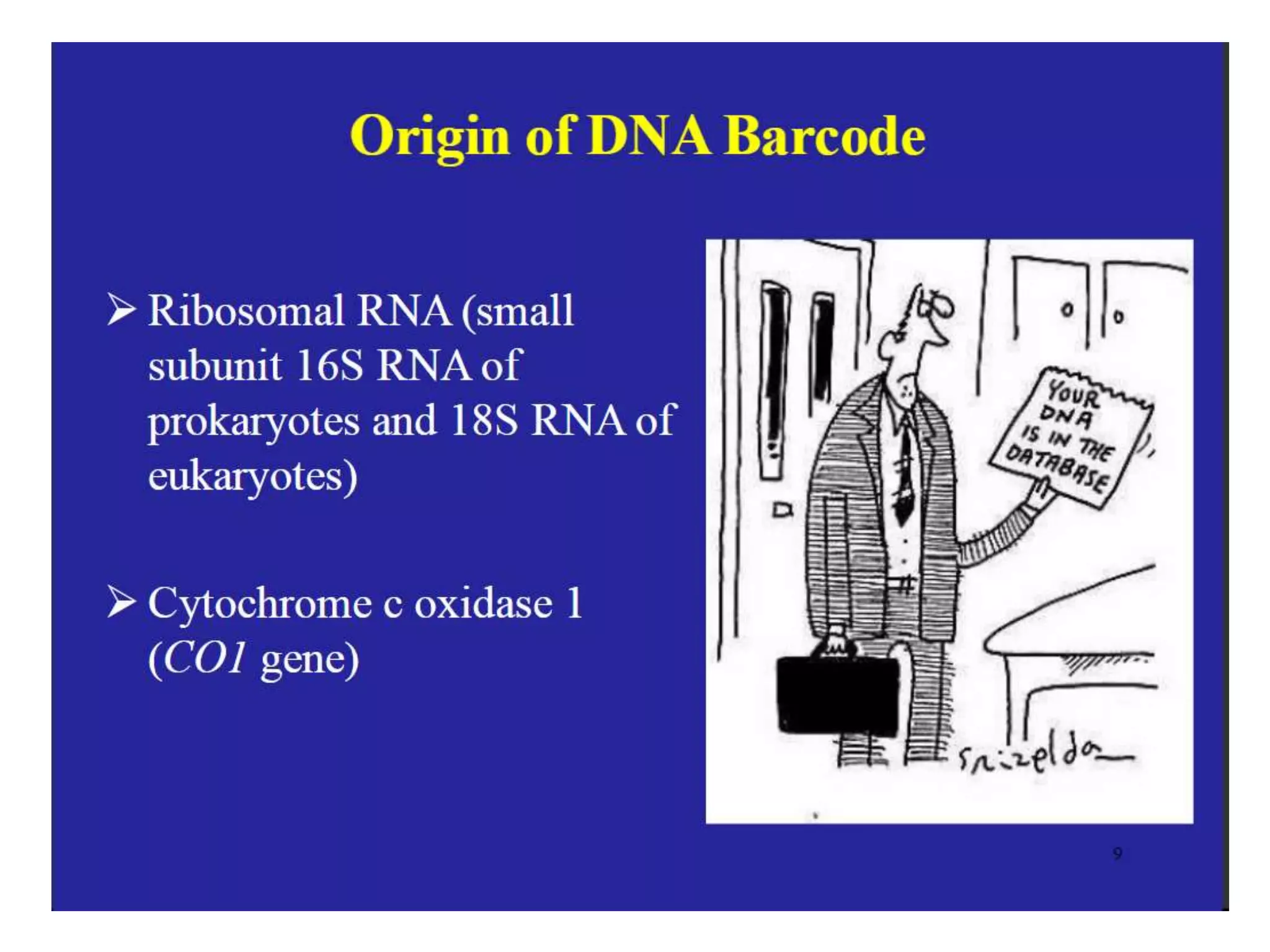 Dna barcoding | PPTX