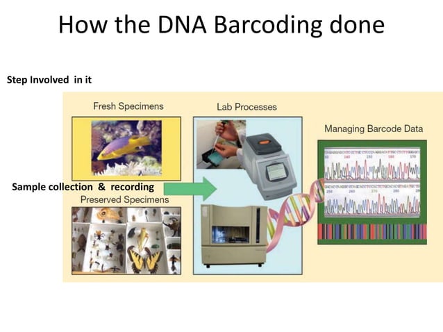 Dna barcoding