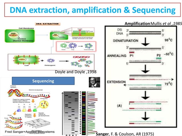 Dna barcoding