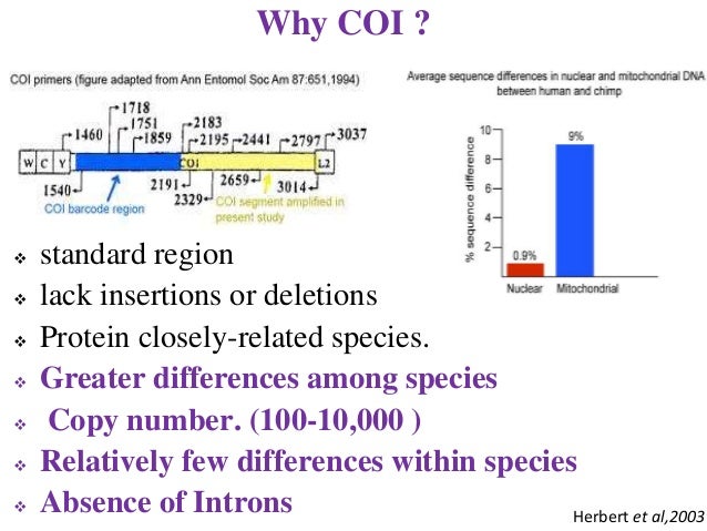 Dna Barcoding Flow Chart