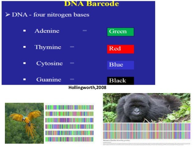 Dna barcoding