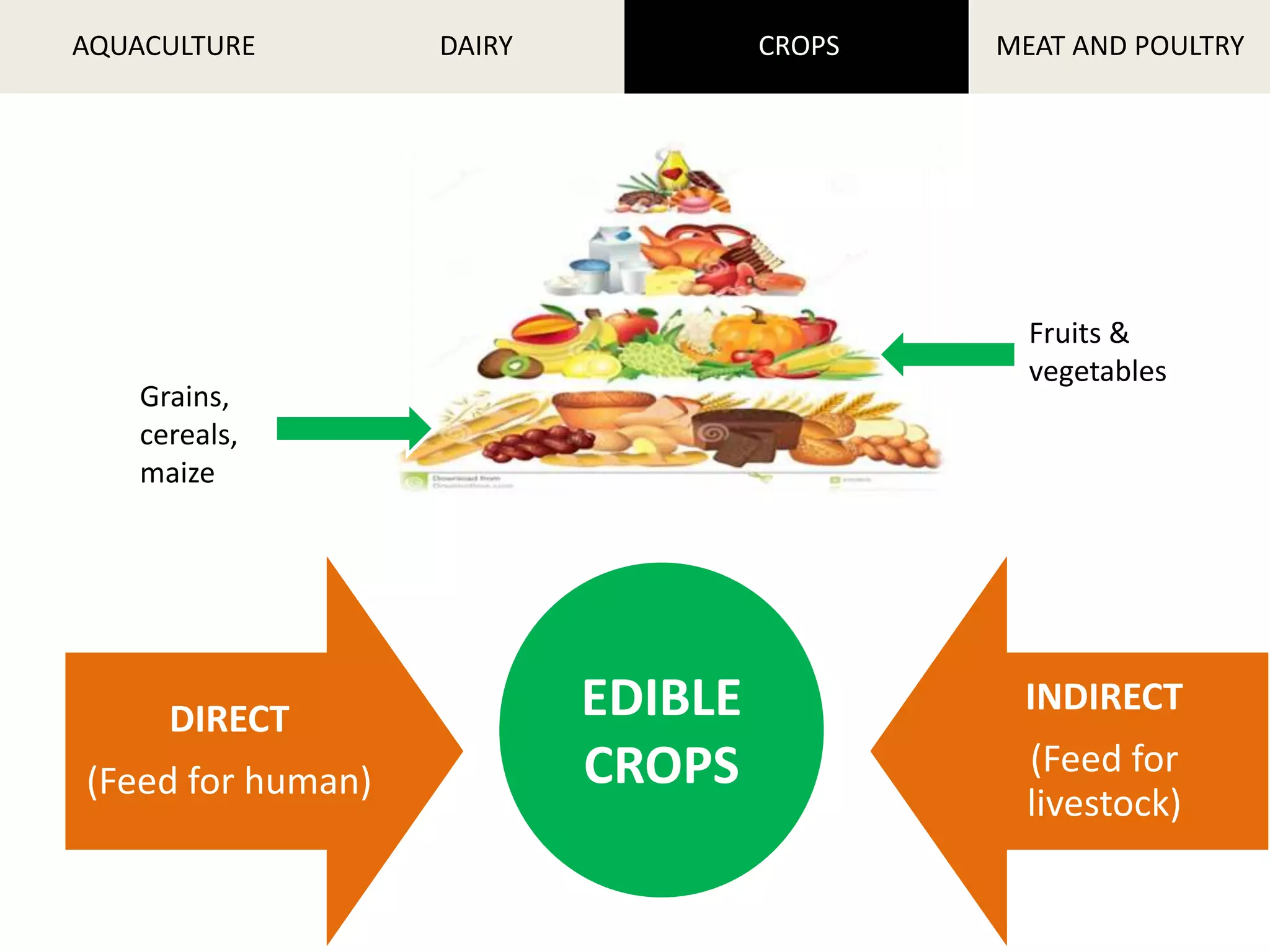 Dna barcoding for food traceability | PPTX