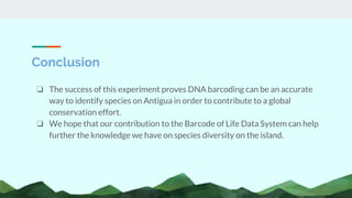 Dna barcoding: Mount Obama peak | PPTX