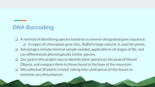 Dna barcoding: Mount Obama peak | PPTX