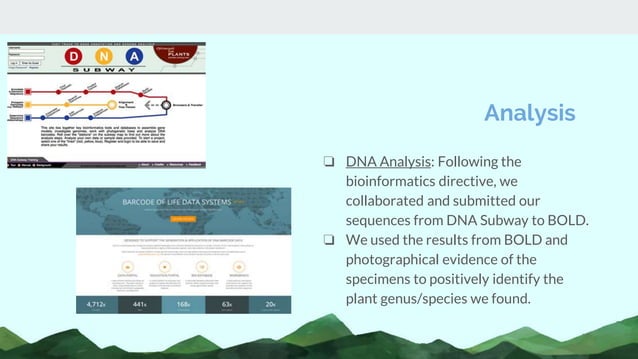 Dna barcoding: Mount Obama peak | PPTX