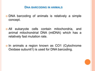 DNA Barcoding Ph.D Agriculture | PPT