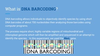 DNA barcoding presentation Group 3 | PPTX | Biological Sciences | Science