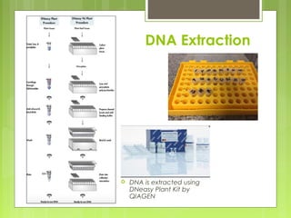 Dna barcoding project -Blue Waters | PPT