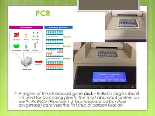 Dna barcoding project -Blue Waters | PPT
