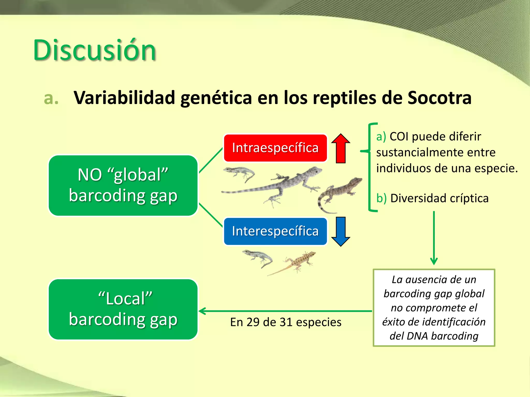 DNA barcoding of the reptiles of the Socotra archipelago | PPT