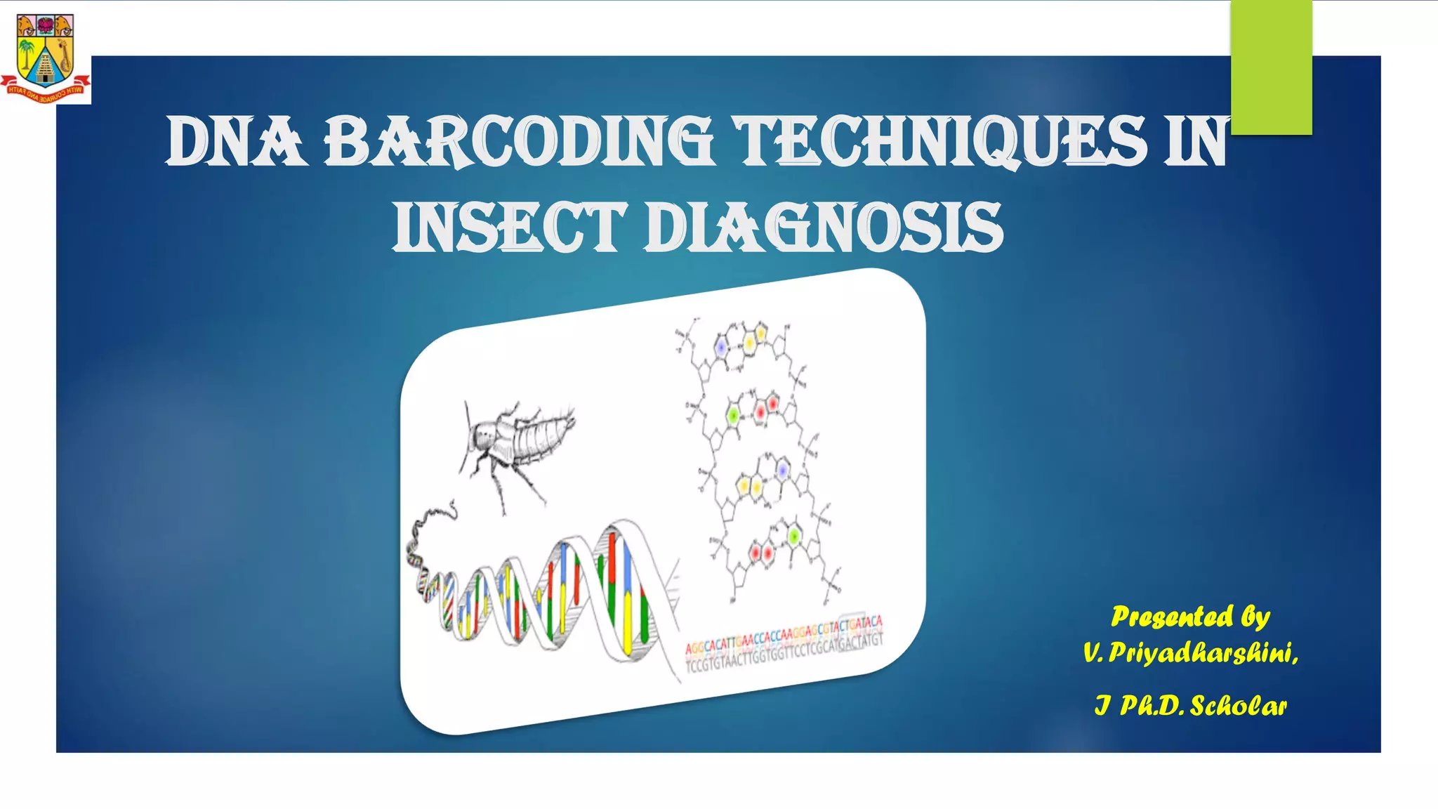 DNA barcoding techniques in insect diagnosis ppt | PDF