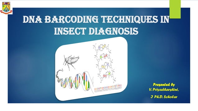 DNA barcoding techniques in insect diagnosis ppt | PDF | Biological ...