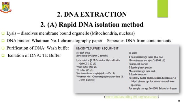 DNA barcoding techniques in insect diagnosis ppt | PDF | Biological Sciences | Science