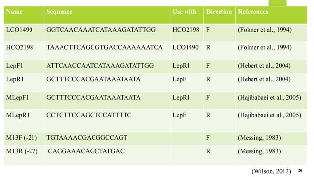 DNA barcoding techniques in insect diagnosis ppt | PDF | Biological ...