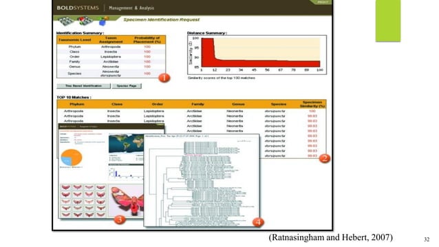 DNA barcoding techniques in insect diagnosis ppt | PDF | Biological ...