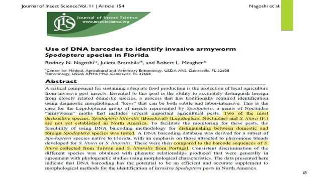 DNA barcoding techniques in insect diagnosis ppt | PDF | Biological ...