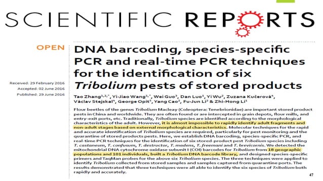 DNA barcoding techniques in insect diagnosis ppt | PDF | Biological ...
