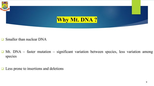 DNA barcoding techniques in insect diagnosis ppt | PDF | Biological ...