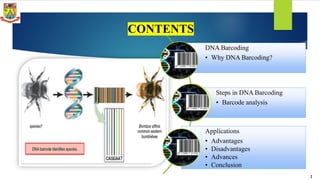 DNA barcoding techniques in insect diagnosis ppt | PPT