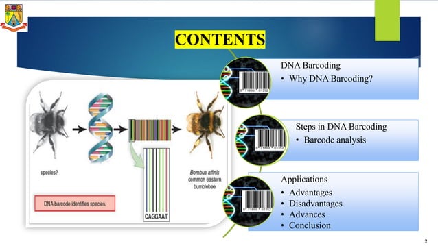 DNA barcoding techniques in insect diagnosis ppt