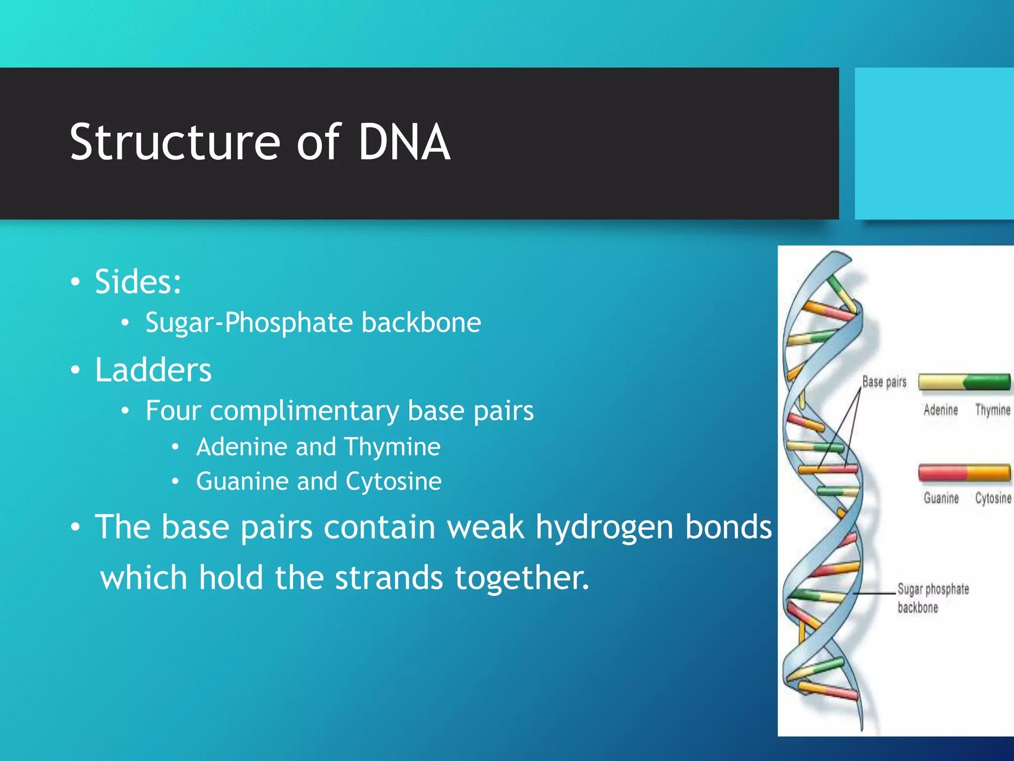 DNA Based Computing | PPTX
