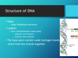 DNA Based Computing | PPTX