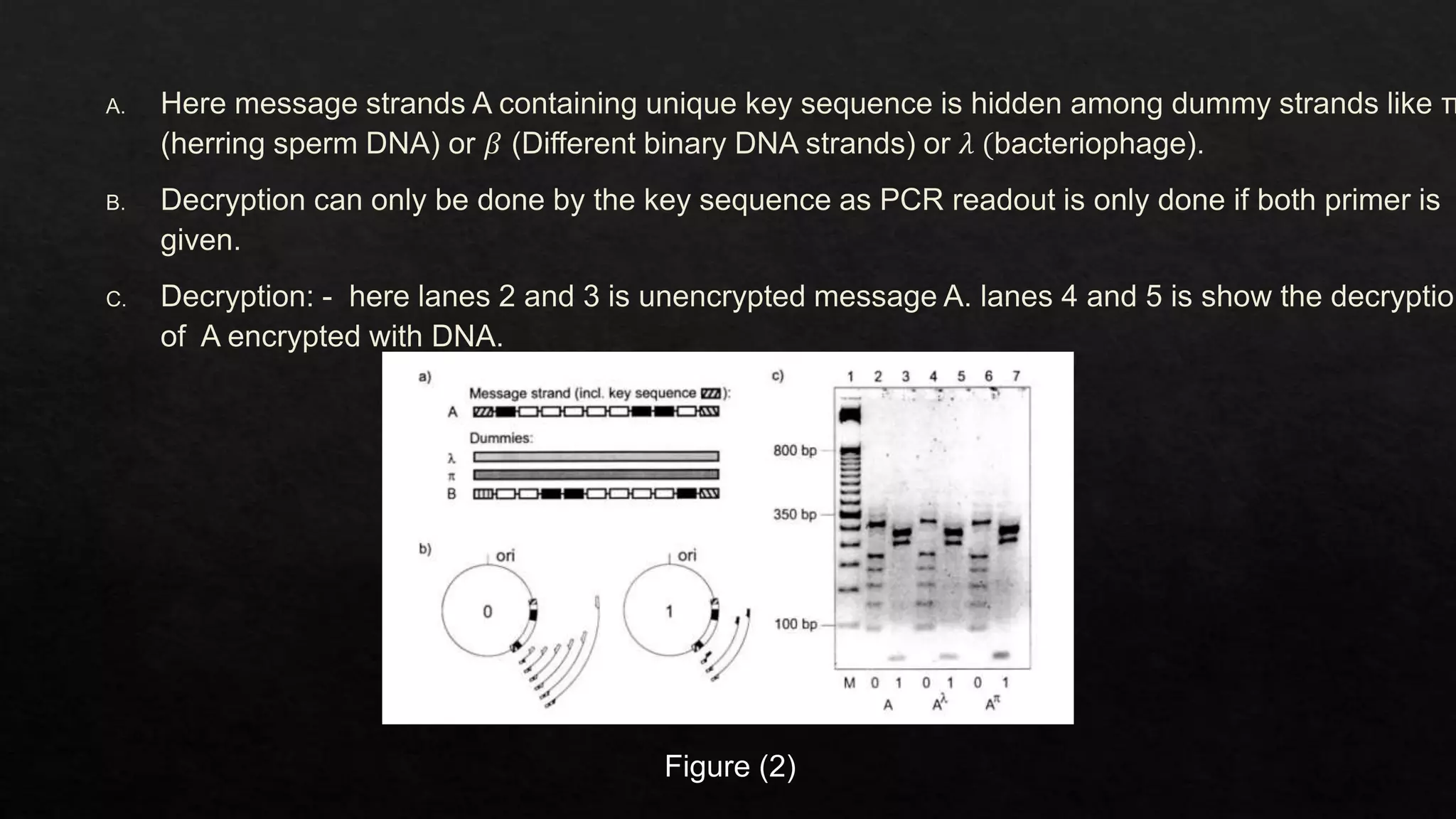 DNA based Cryptography (201901080).pptx