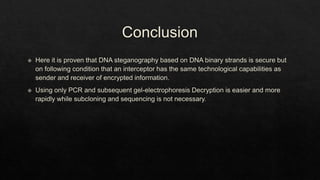 DNA based Cryptography (201901080).pptx