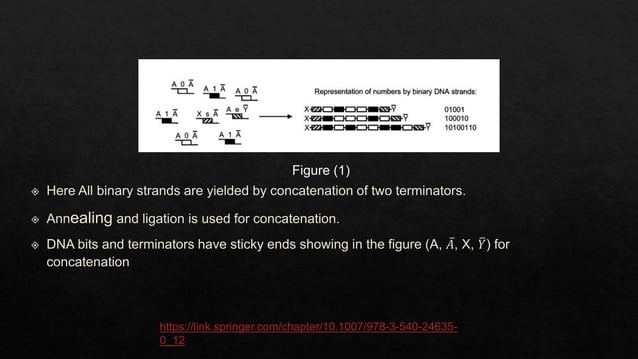 DNA based Cryptography (201901080).pptx