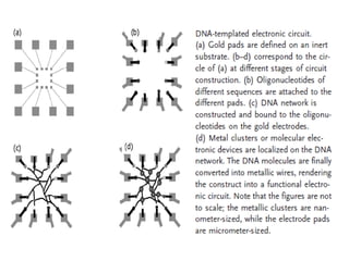 Dna based nanobioelectronics | PDF