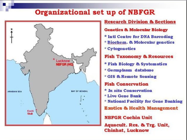 Dna based tools in fish identification | PPT