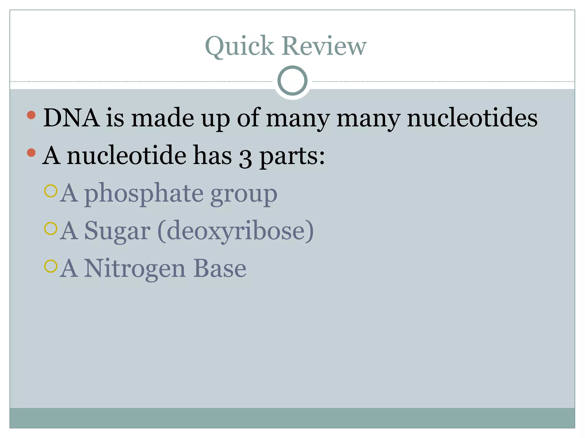 Dna base pairing practice | PPT