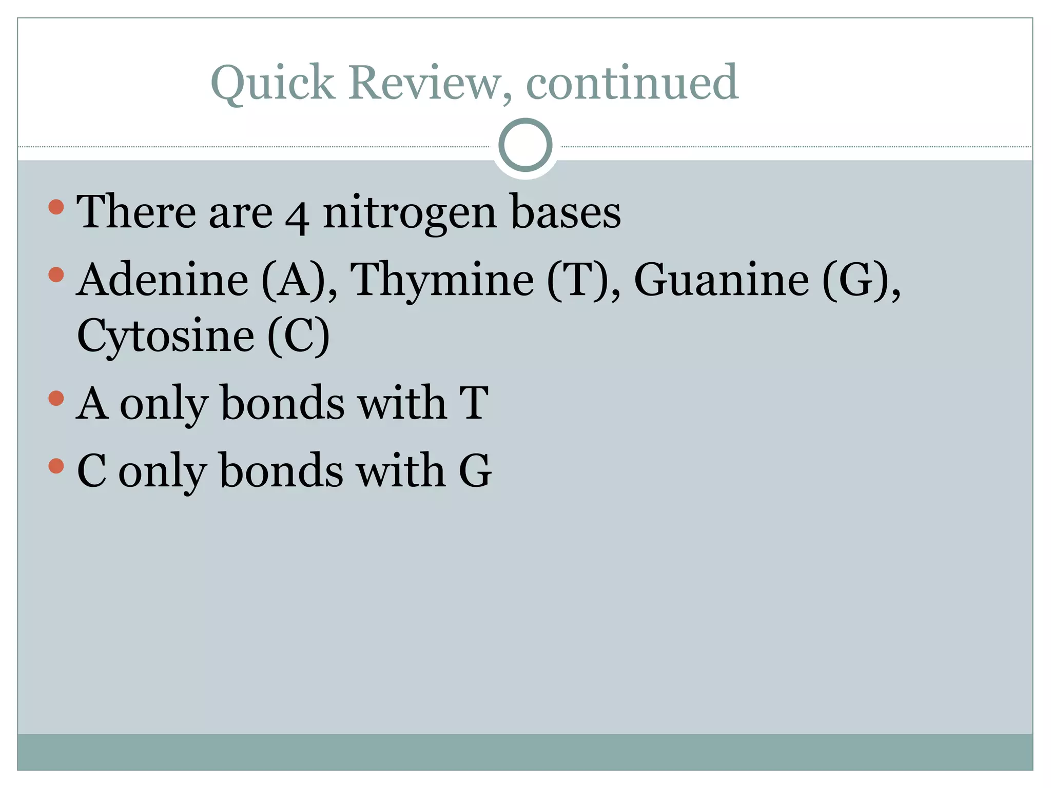 Dna base pairing practice | PPT