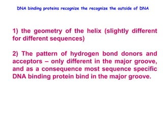 Transcription factors and its DNA binding domain | PPT