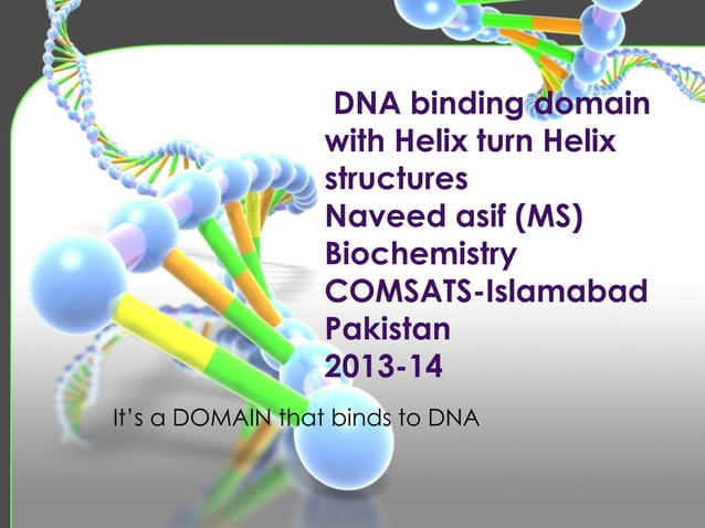 DNA binding Domains | PPTX | Genetics | Science