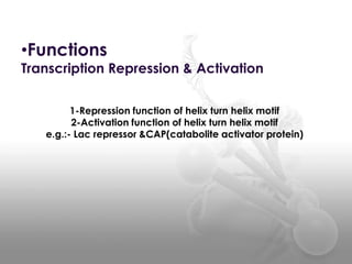 DNA binding Domains | PPTX