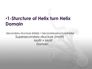 DNA binding Domains | PPTX