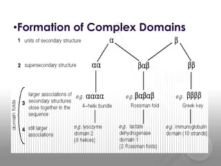 DNA binding Domains | PPTX