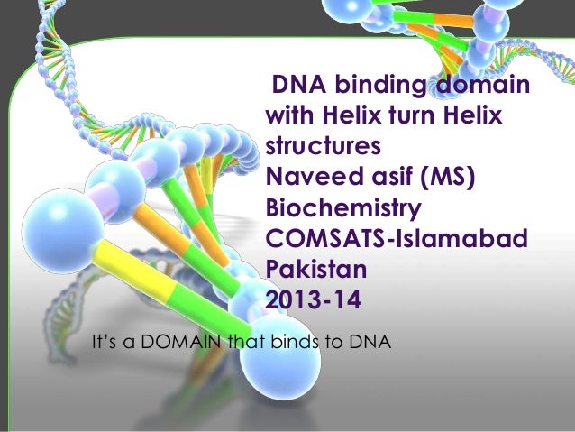 DNA binding Domains