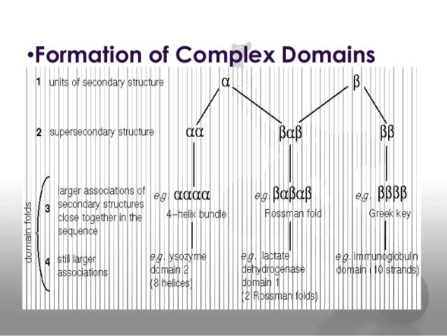DNA binding Domains