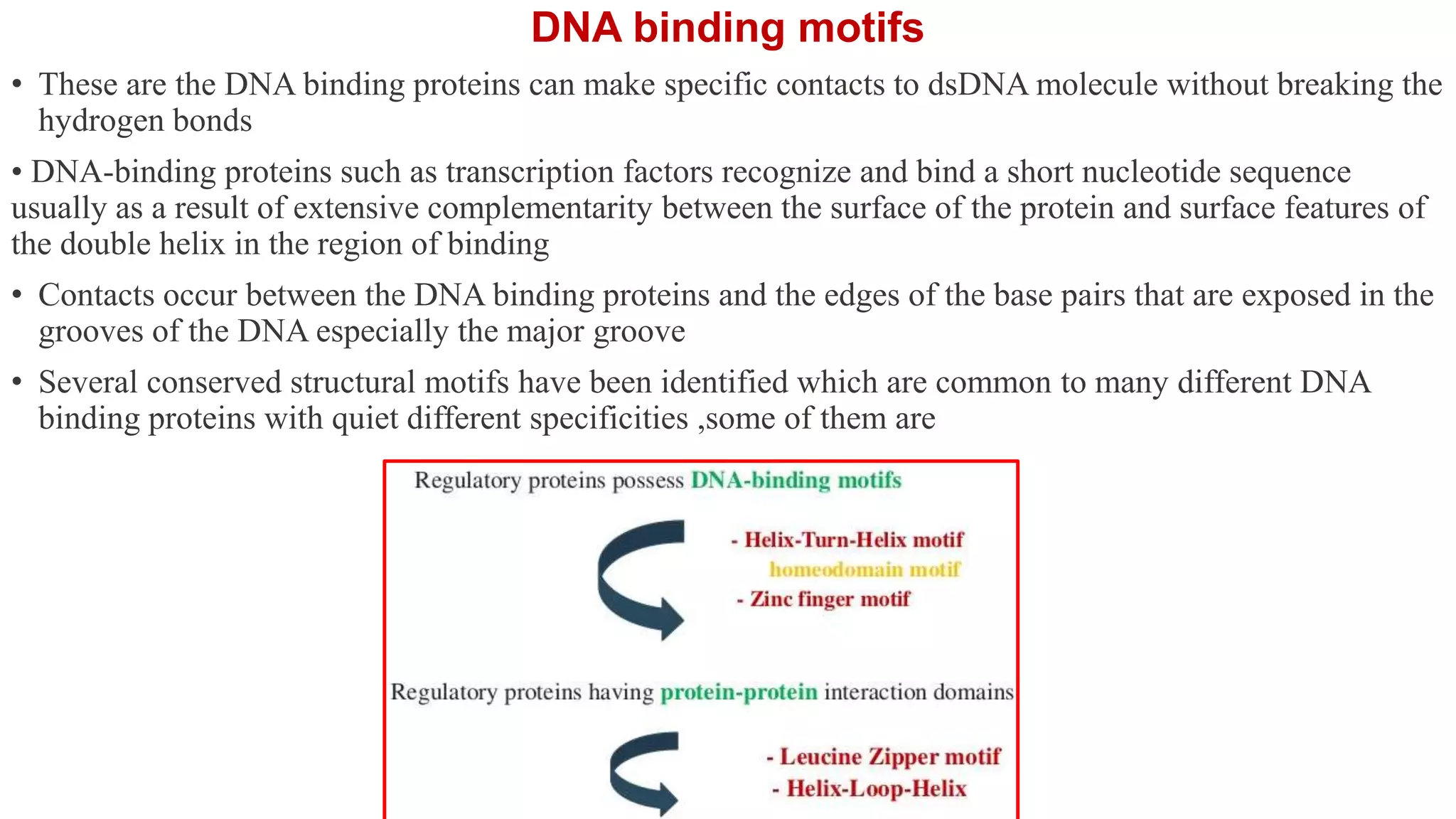 Dna binding motiffs | PPTX