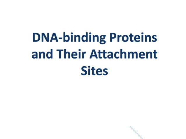 Dna binding protein(motif) | PPTX | Chemistry | Science