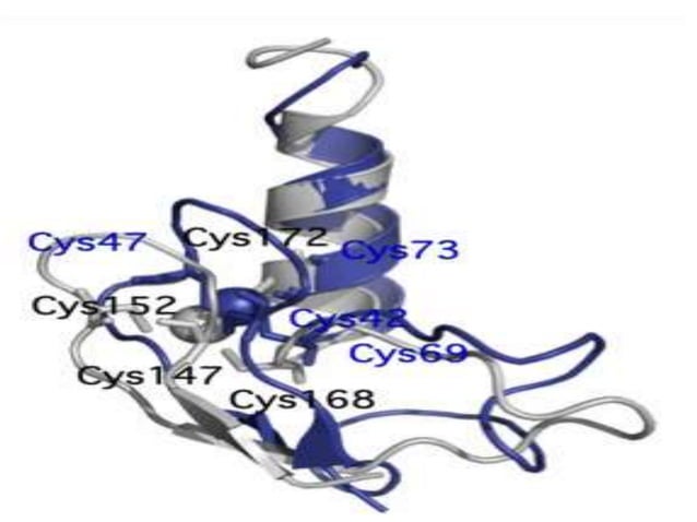 Dna binding protein(motif) | PPTX | Chemistry | Science