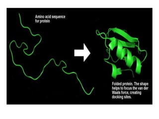Dna binding protein(motif) | PPTX