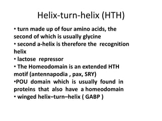 Dna binding protein(motif) | PPTX