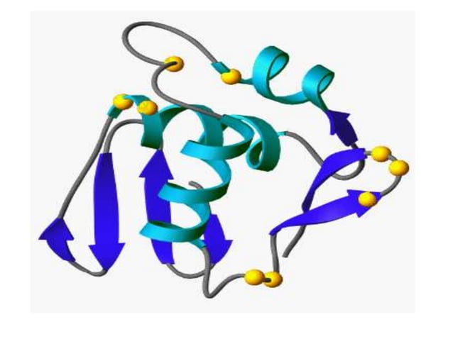 Dna binding protein(motif) | PPTX | Chemistry | Science