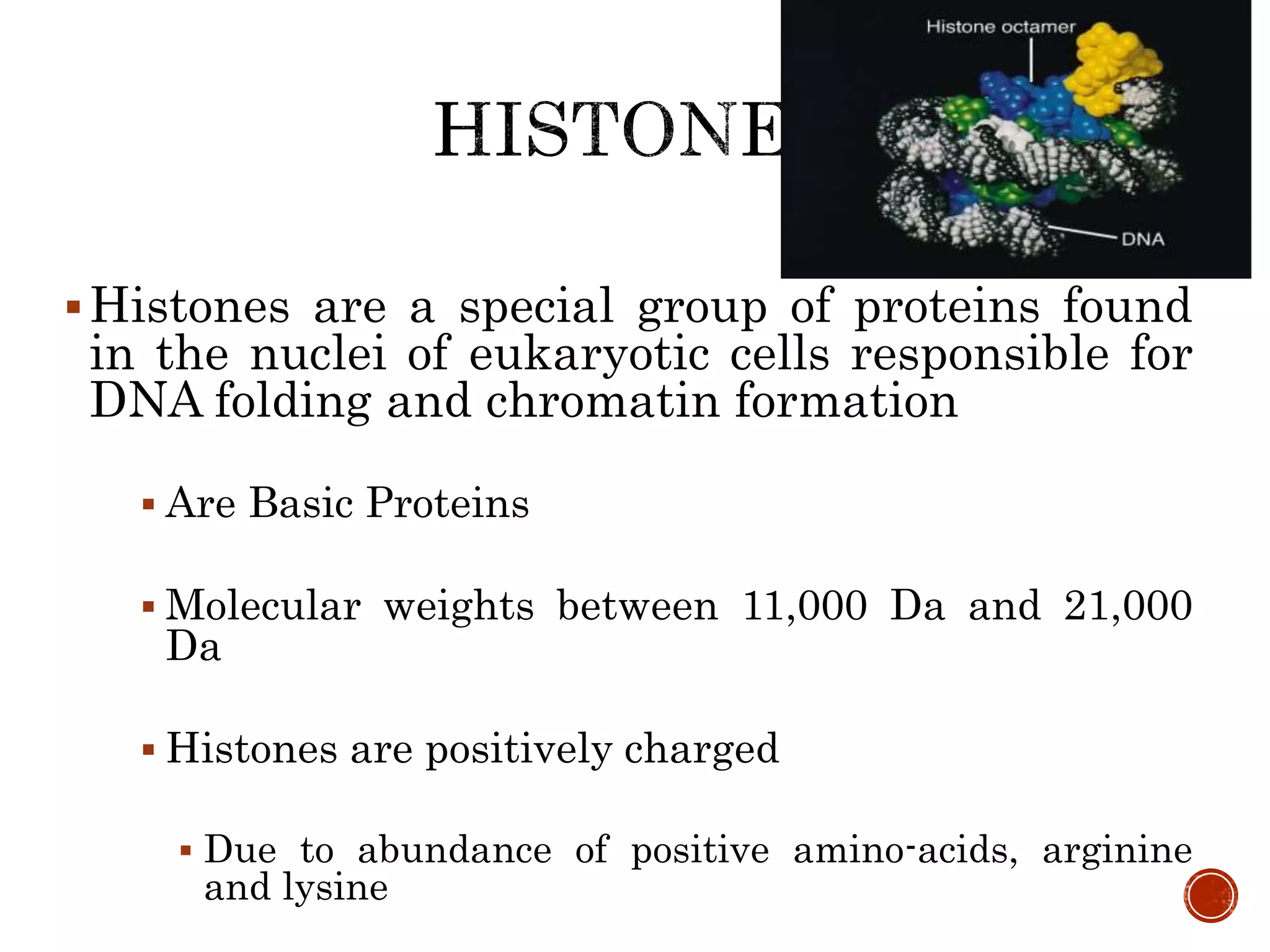 Dna binding proteins | PPTX